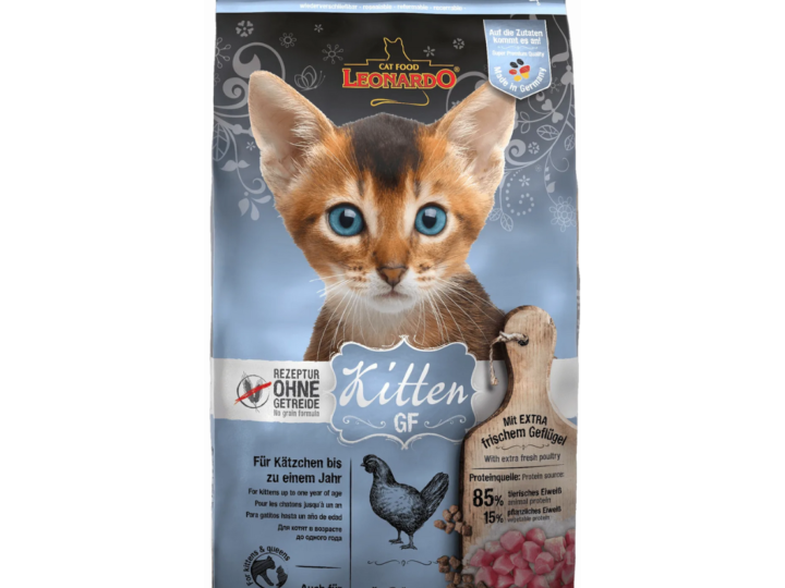 Categorías del producto Gatito | Tienda Mascotamanía