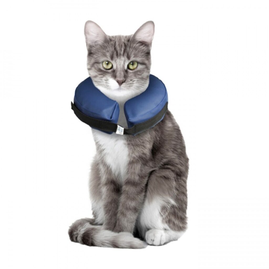 Collar Isabelino Inflable para Perros | Tienda Mascotamanía | Tienda ...